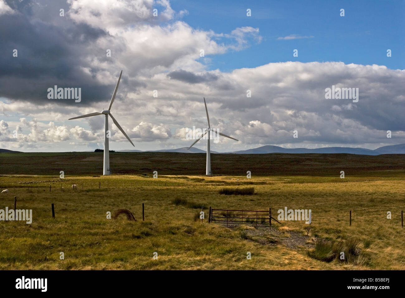 Wind power turbines at Carno wind farm producing electricity for part ...