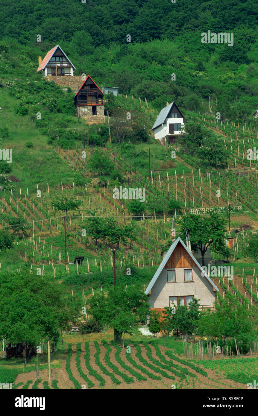 Holiday chalets and vegetable plots in the Slovak Sea area in Vihorlat ...