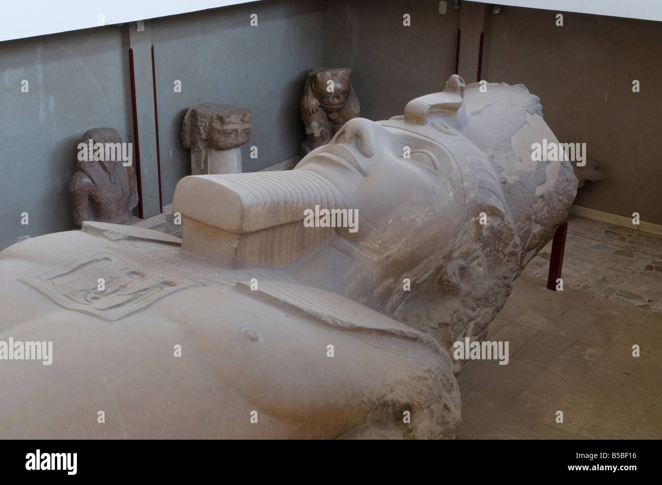 The giant carved limestone statue of Rameses II in the open-air museum ...