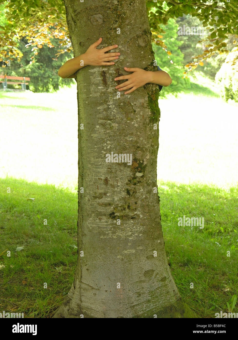 Female tree hugger countryside hi-res stock photography and images - Alamy