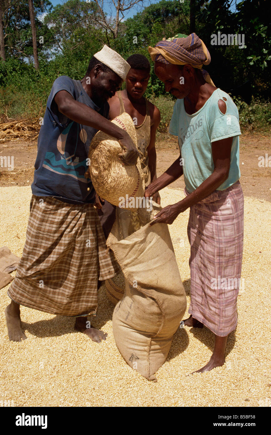 Merca somalia hi-res stock photography and images - Alamy