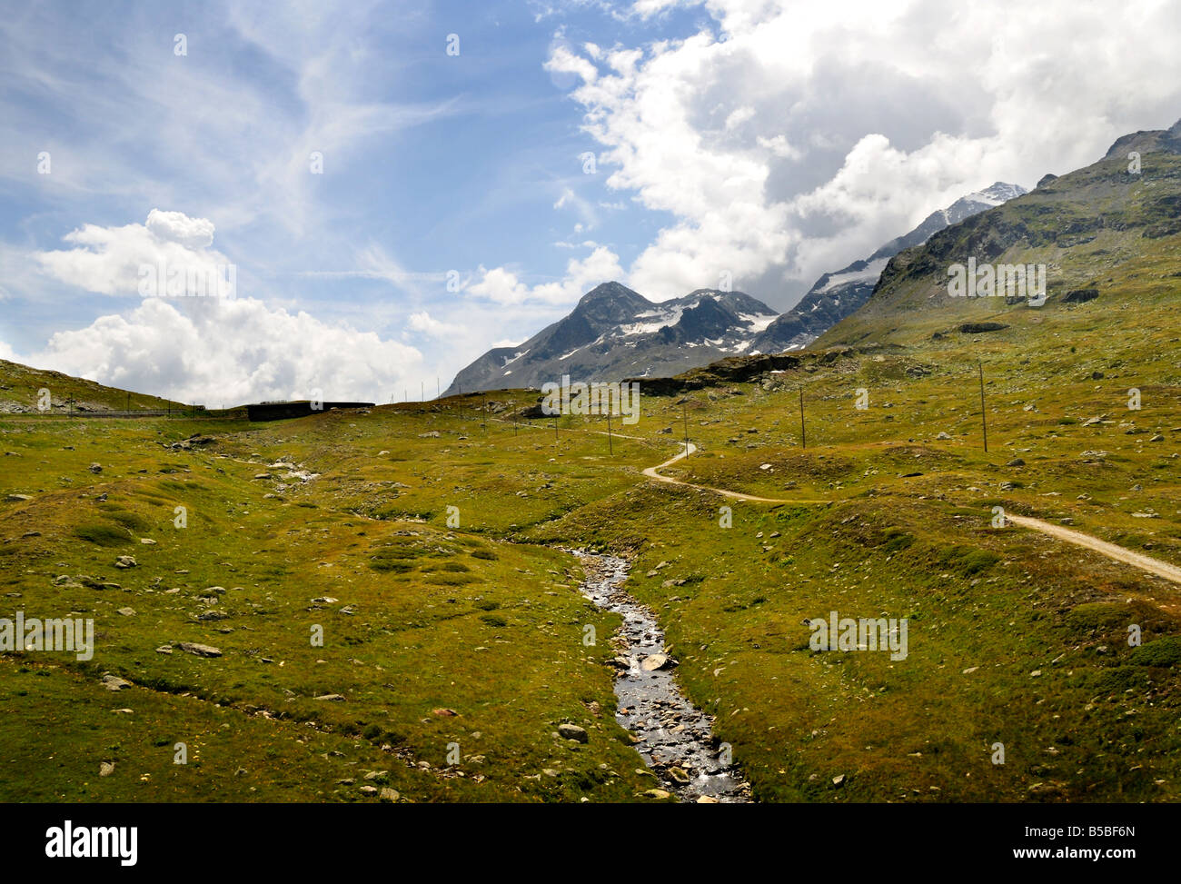 Alpine Meadow in Swiss Alps near St Moritz, Switzerland, Europe Stock ...