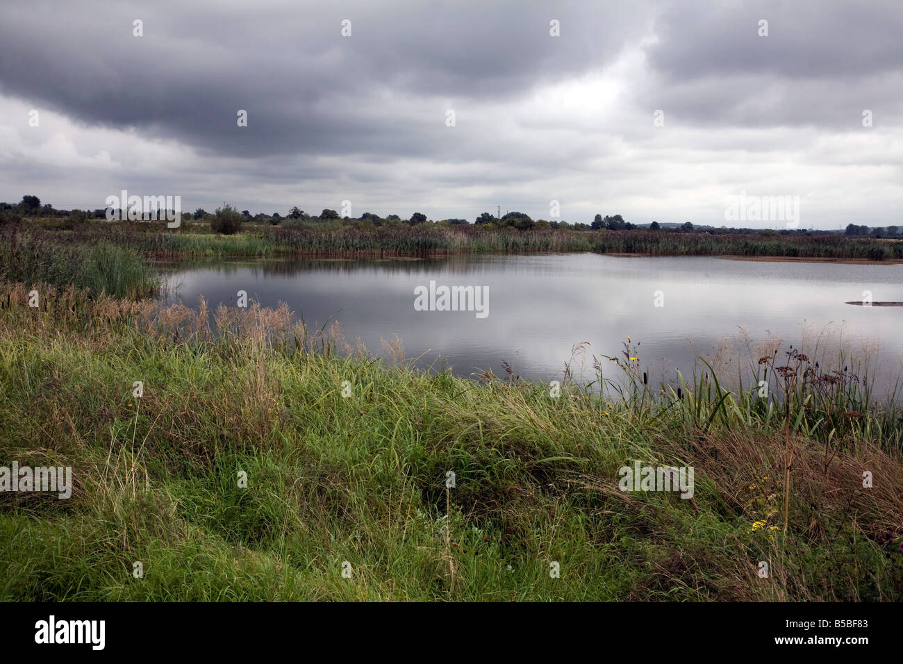 Otmoor wetland hi-res stock photography and images - Alamy