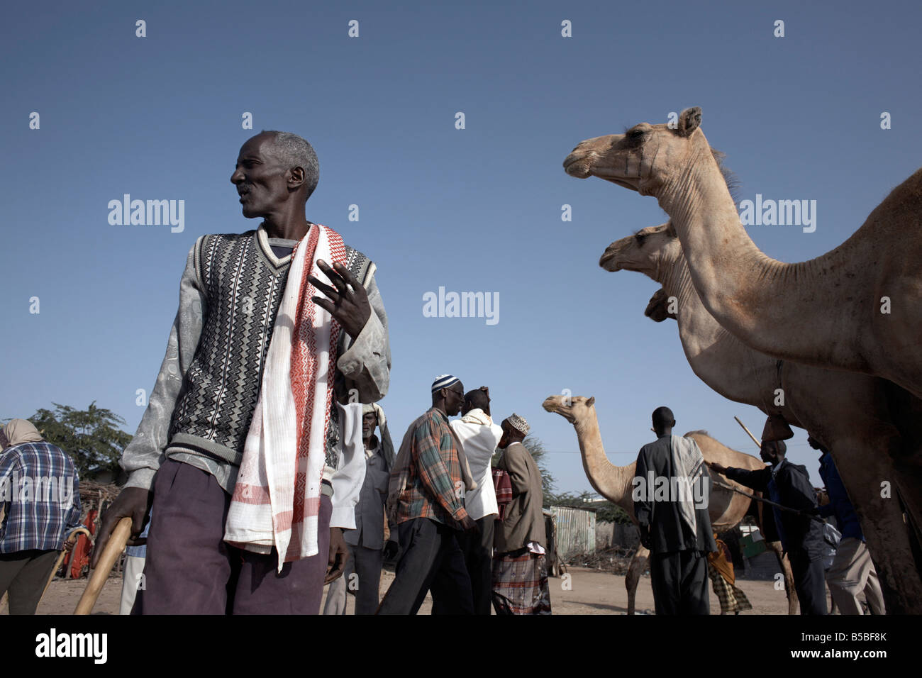 Camel traders in somaliland hi-res stock photography and images - Alamy