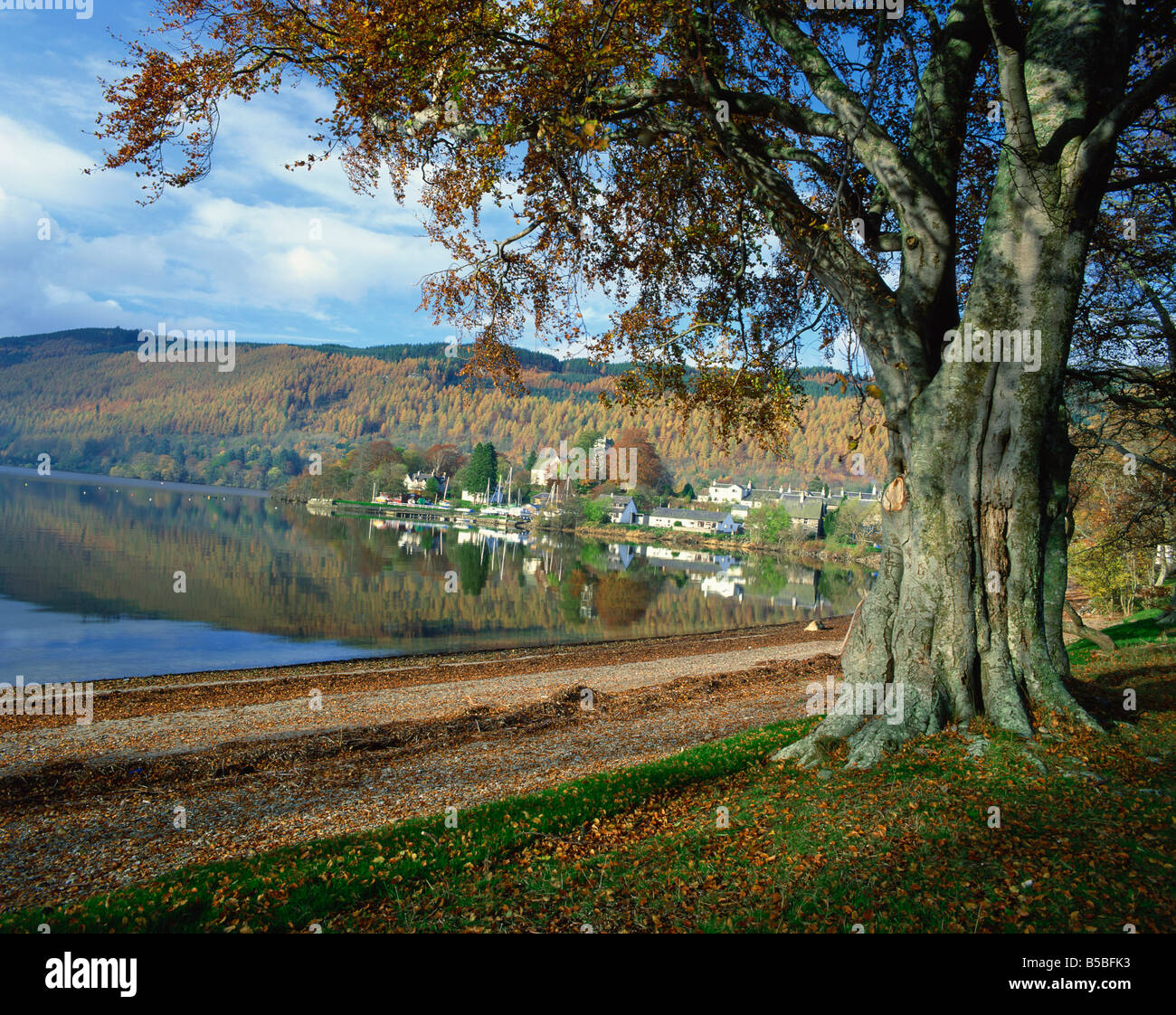 Tayside hi-res stock photography and images - Alamy