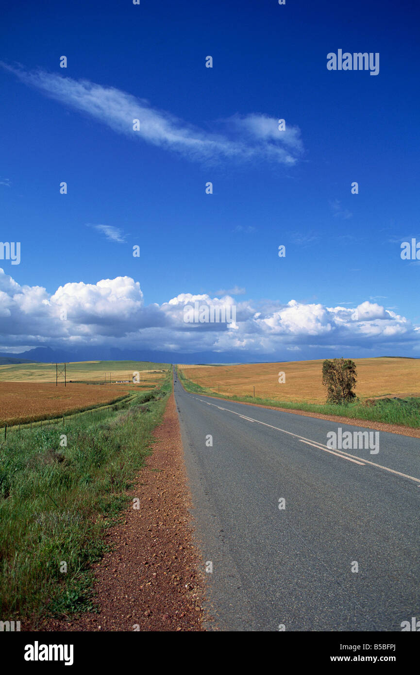R319 road hi-res stock photography and images - Alamy
