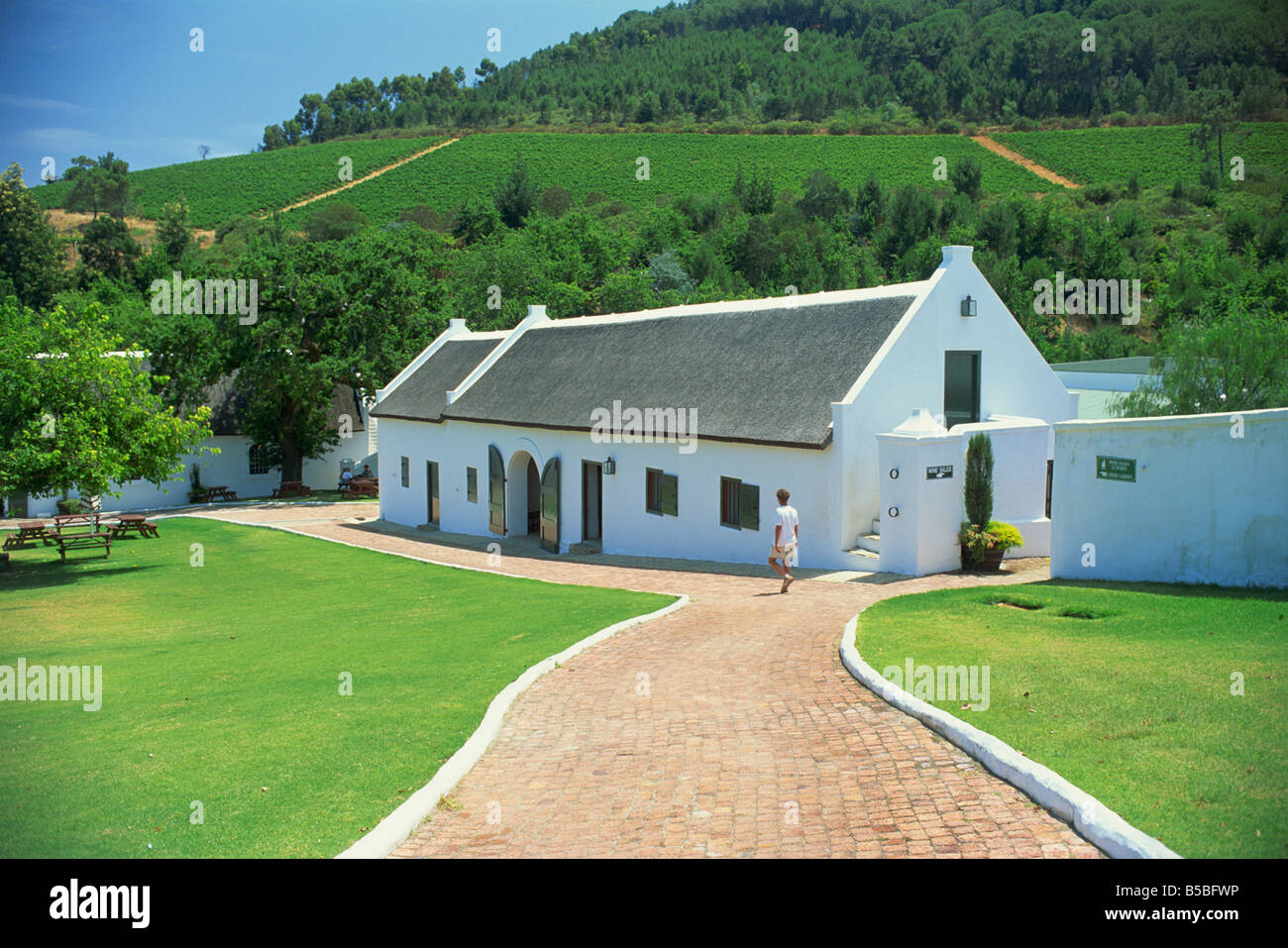 The Morgenhof Estate Wine Region Cape Province South Africa R Cousins ...