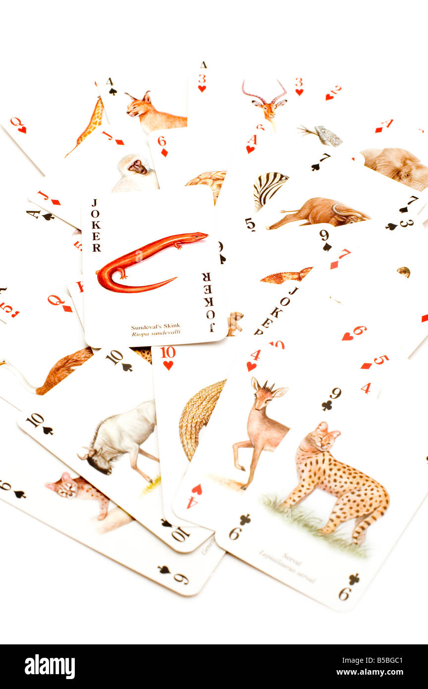 object on white Gambling Playing cards Stock Photo - Alamy