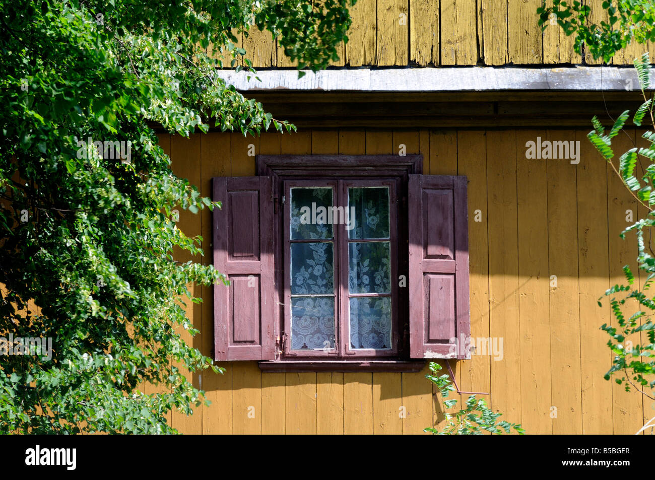 Pane tree High Resolution Stock Photography and Images - Alamy