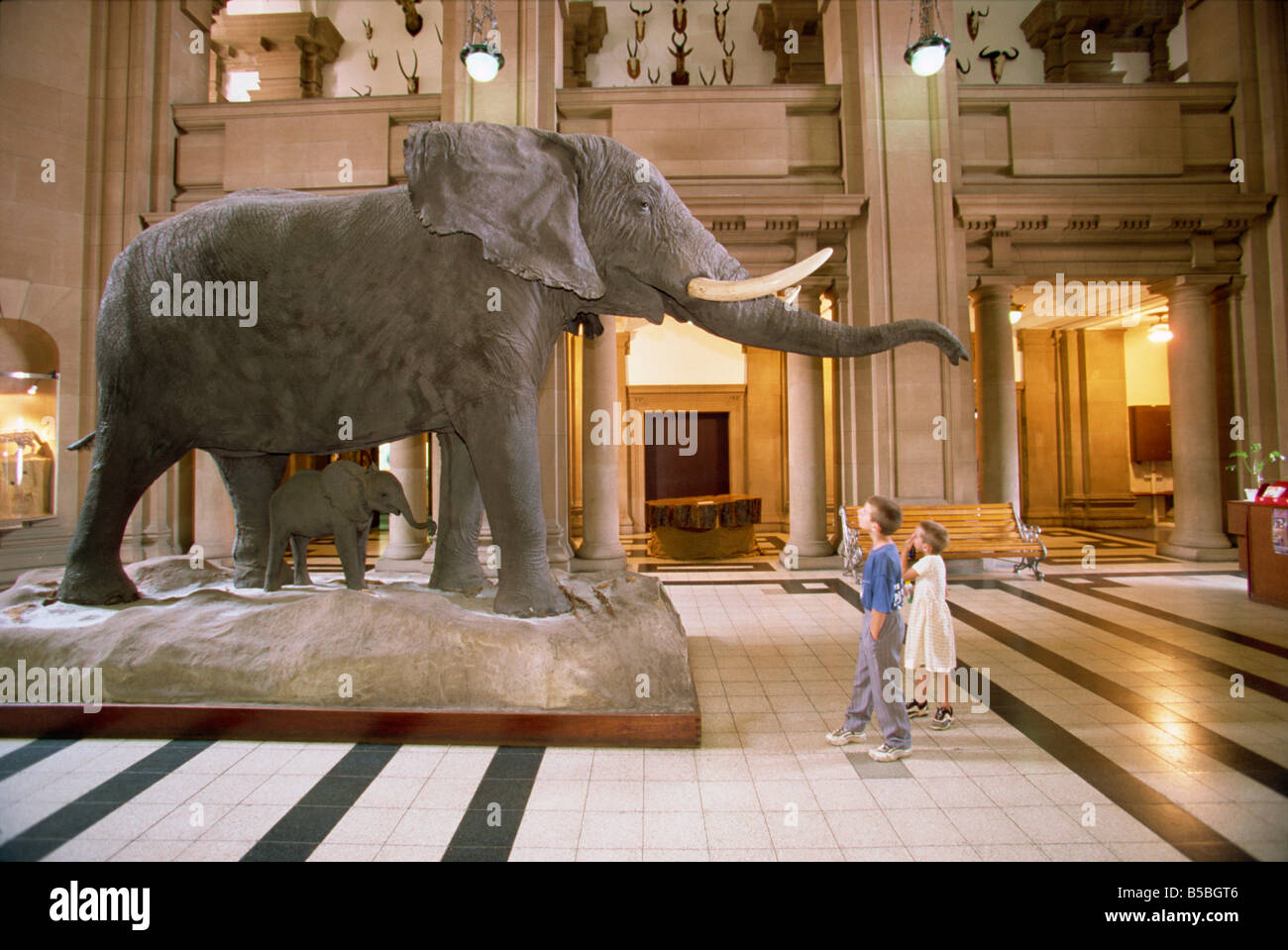 Transvaal Museum Pretoria South Africa Africa Stock Photo - Alamy