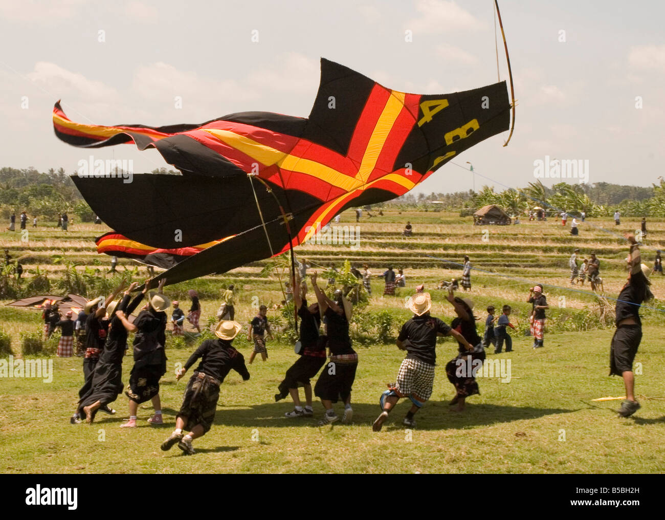 Balinese villagers collecting their kite after its flight at the annual ...