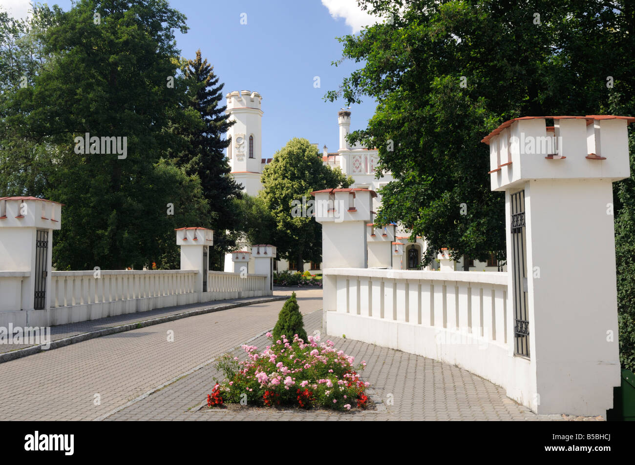 Poland flower hi-res stock photography and images - Alamy