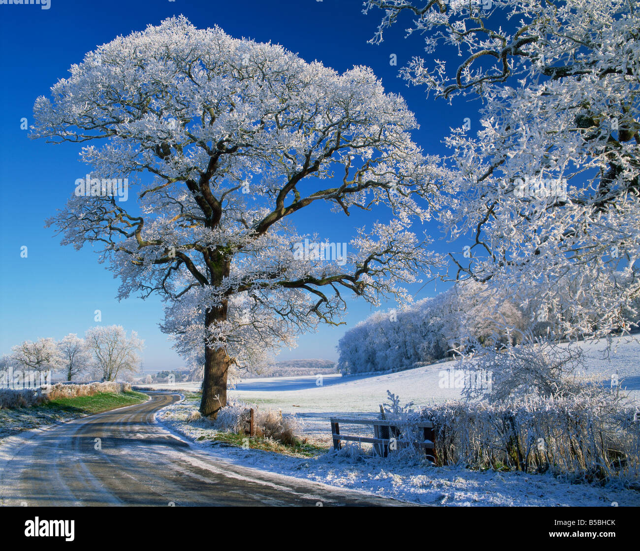 Roadside scene hi-res stock photography and images - Alamy