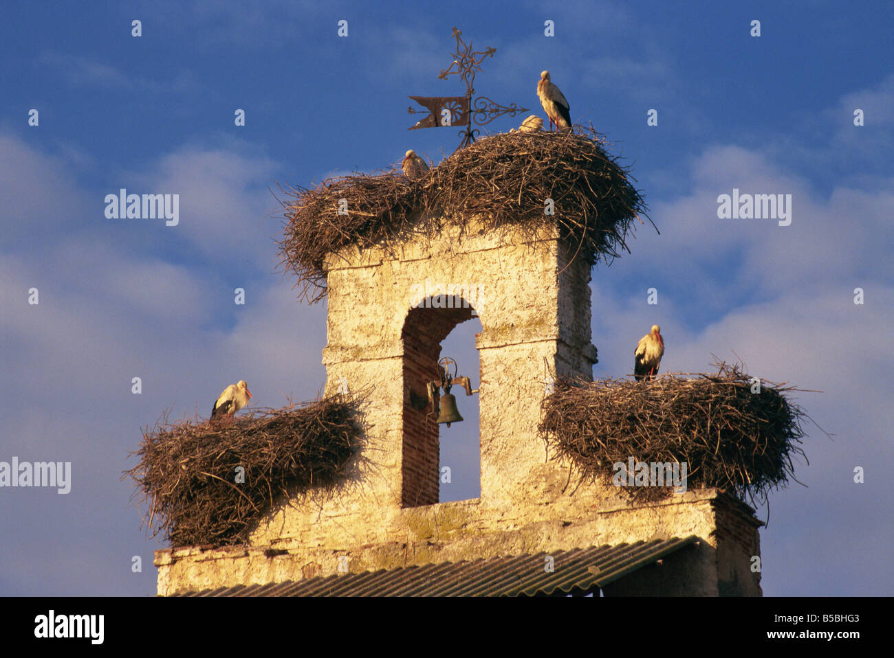 Storks nests on parish church Villar de Mazarife Leon Spain Europe ...