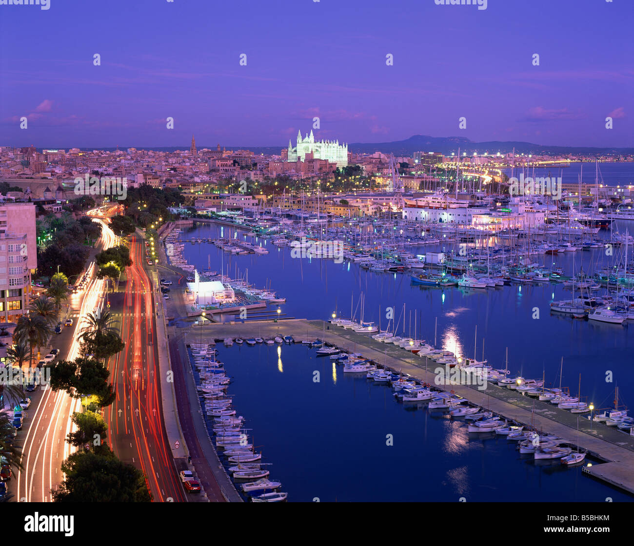 Palma Marina Cathedral Night Palma High Resolution Stock Photography ...