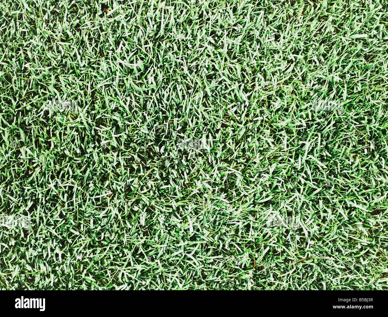 Grass lawn from elevated hi-res stock photography and images - Alamy