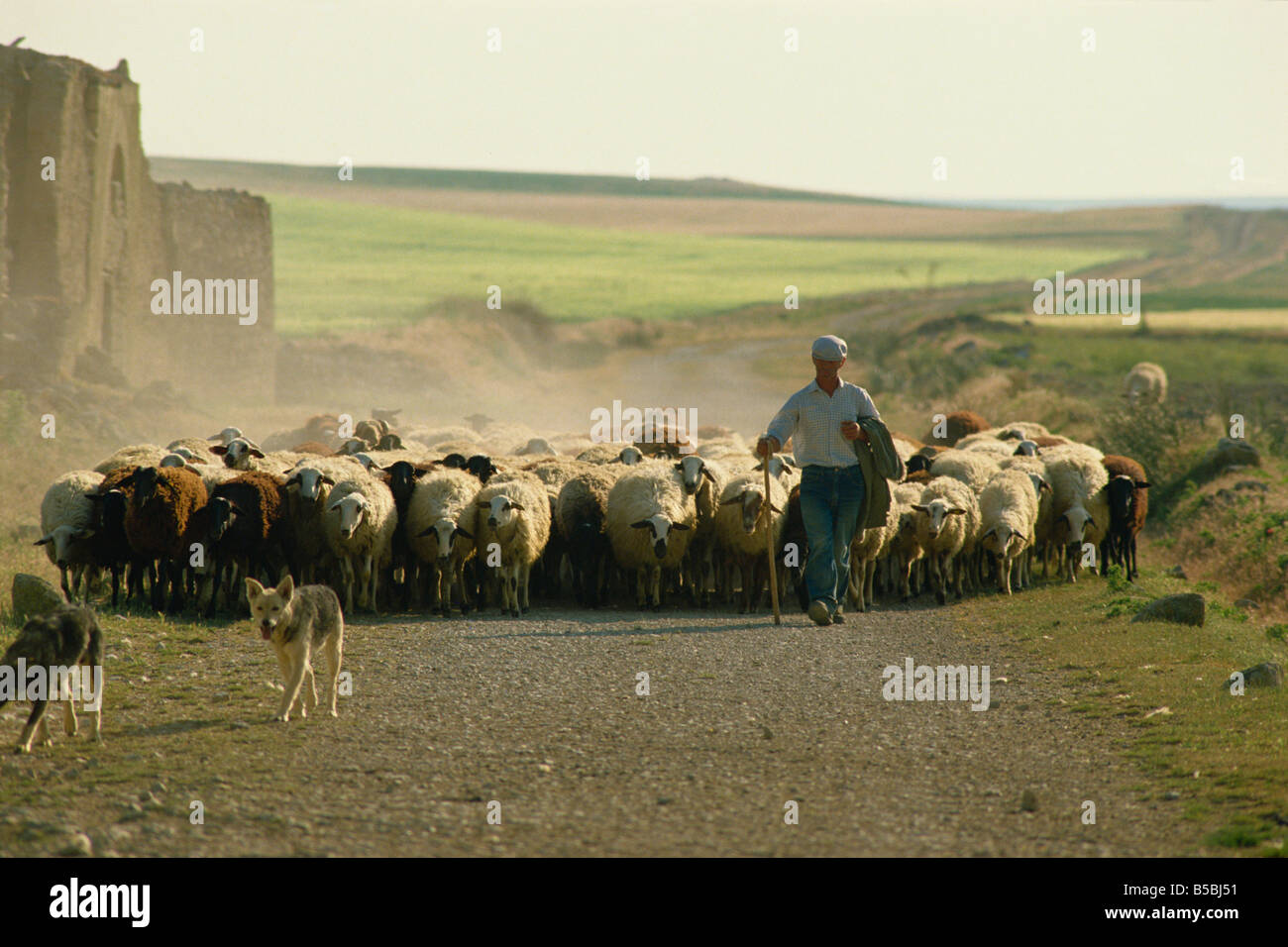 Zamora spain hi-res stock photography and images - Alamy