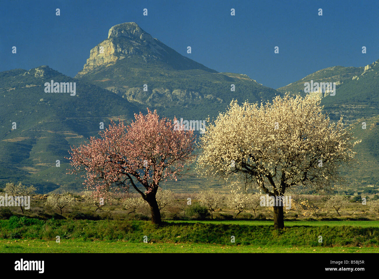 Lérida spain hi-res stock photography and images - Alamy
