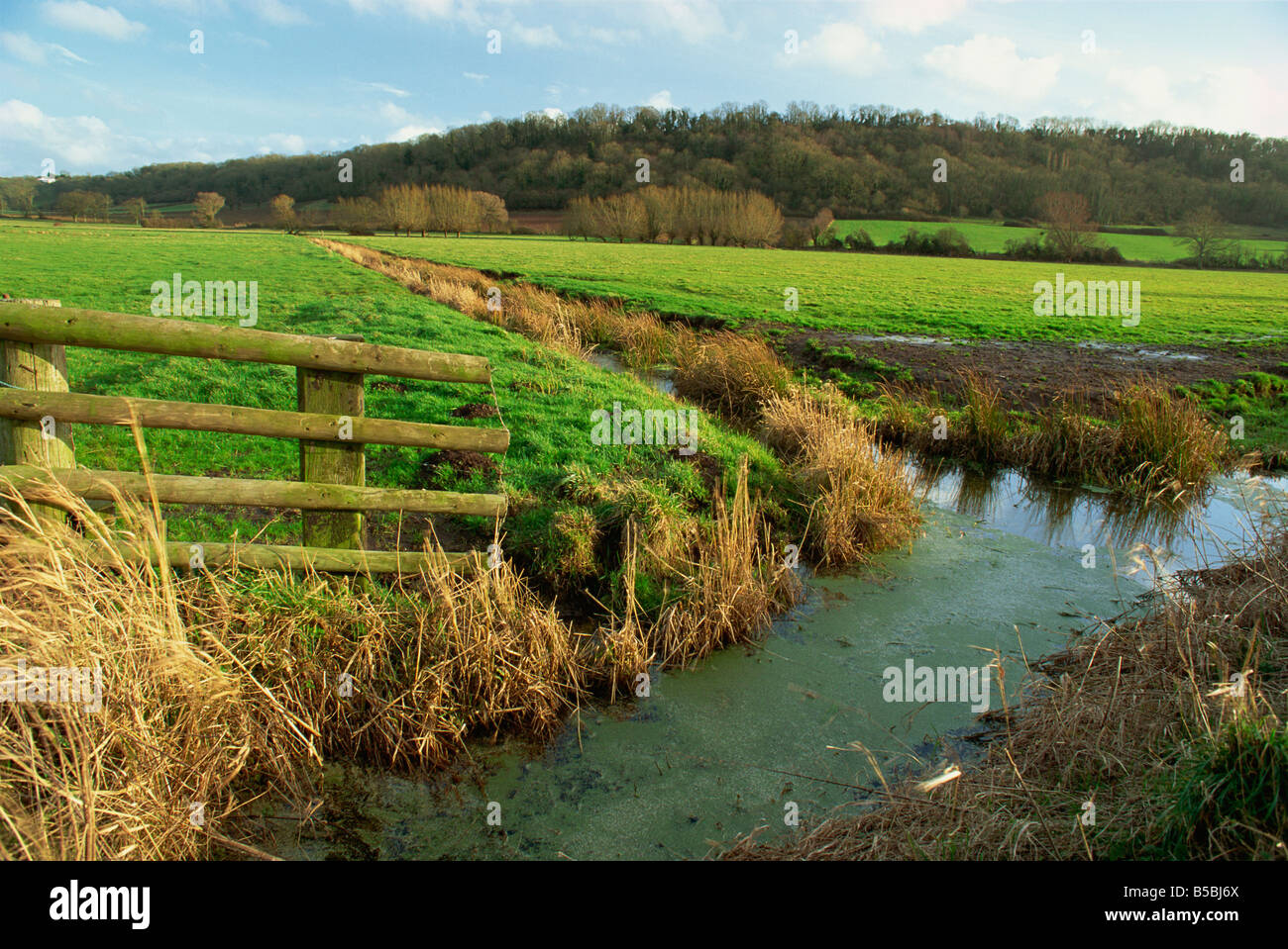 Somerset levels somerset hi-res stock photography and images - Alamy