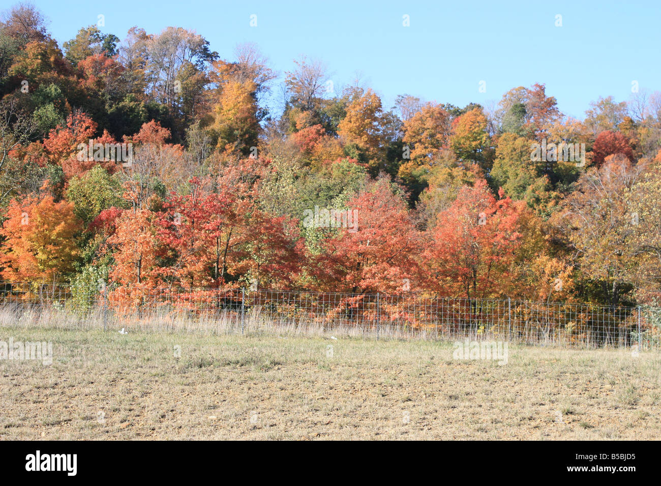 Wv nature hi-res stock photography and images - Alamy