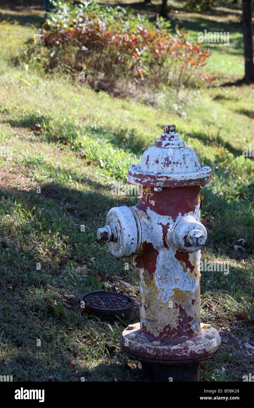 A paint chipped water hydrant in the city of Branson Missouri that has ...