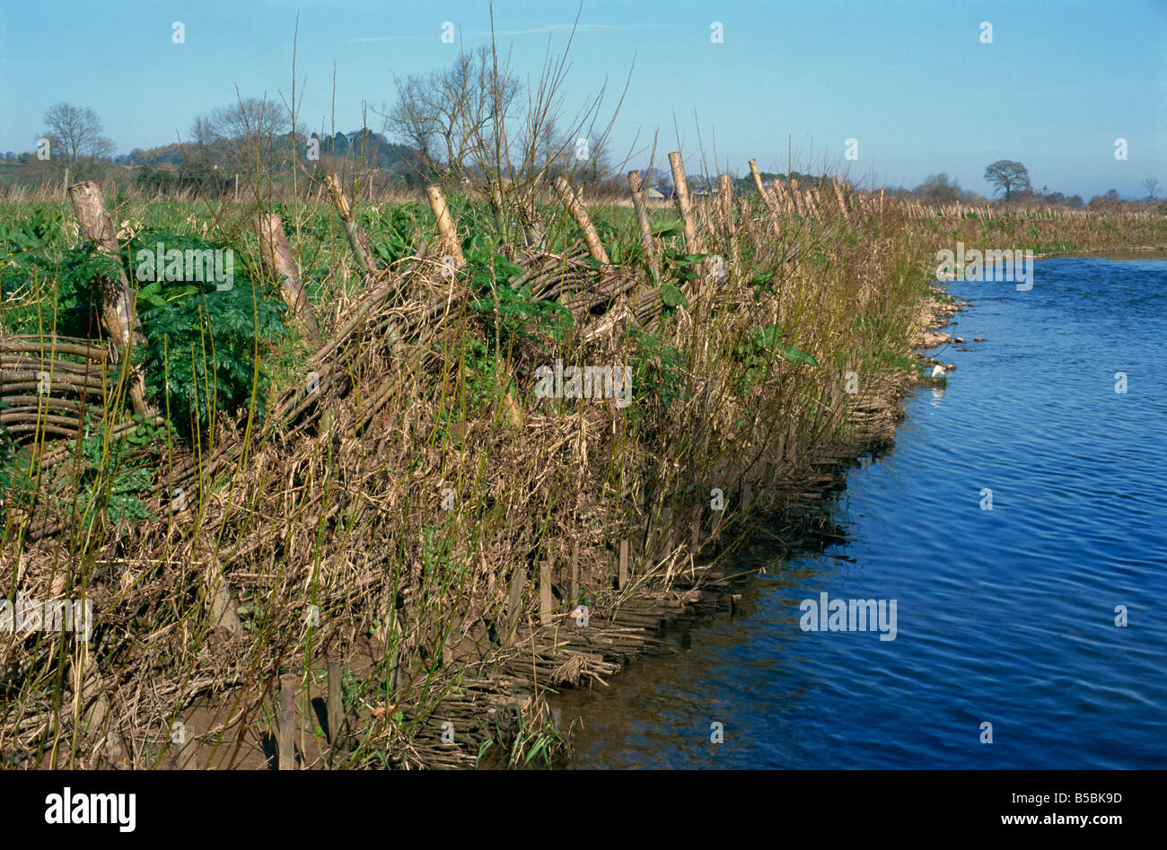 Stabilise hi-res stock photography and images - Alamy