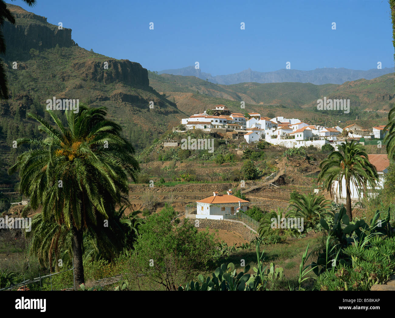 Fataga village in a green landscape High in the Barranco de Fataga ...