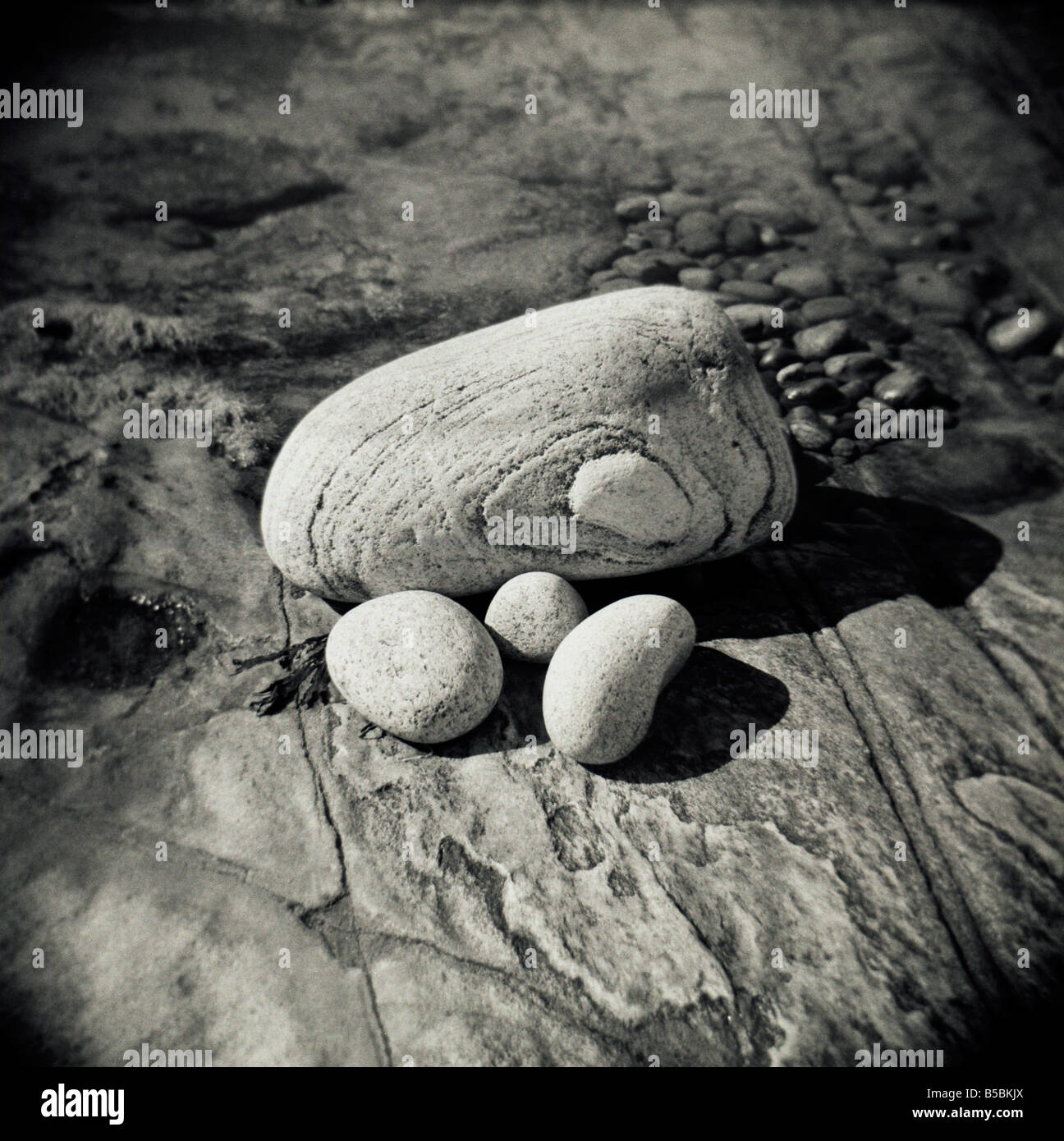 Four pebbles of different sizes arranged on flat rock, Taransay, Outer ...