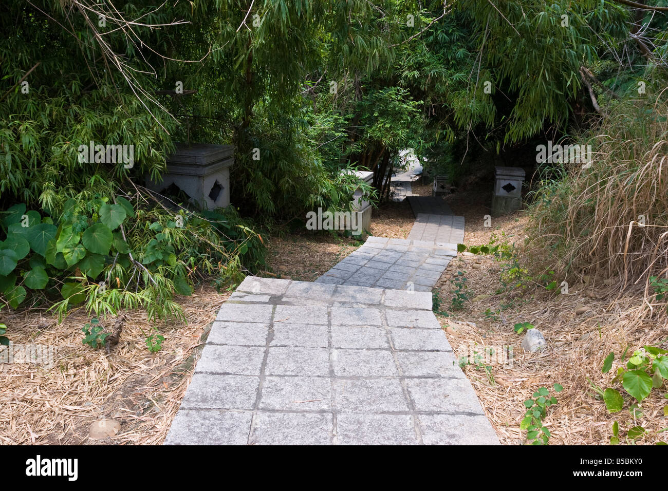 Baguashan hi-res stock photography and images - Alamy