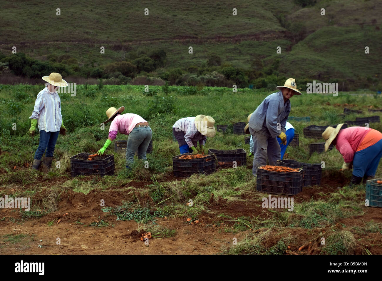 Workers horizontal hi-res stock photography and images - Alamy