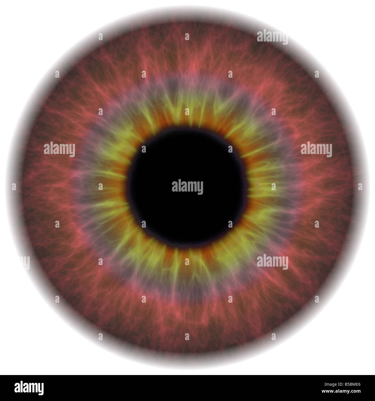 A highly detailed iris section of the human eye Stock Photo - Alamy
