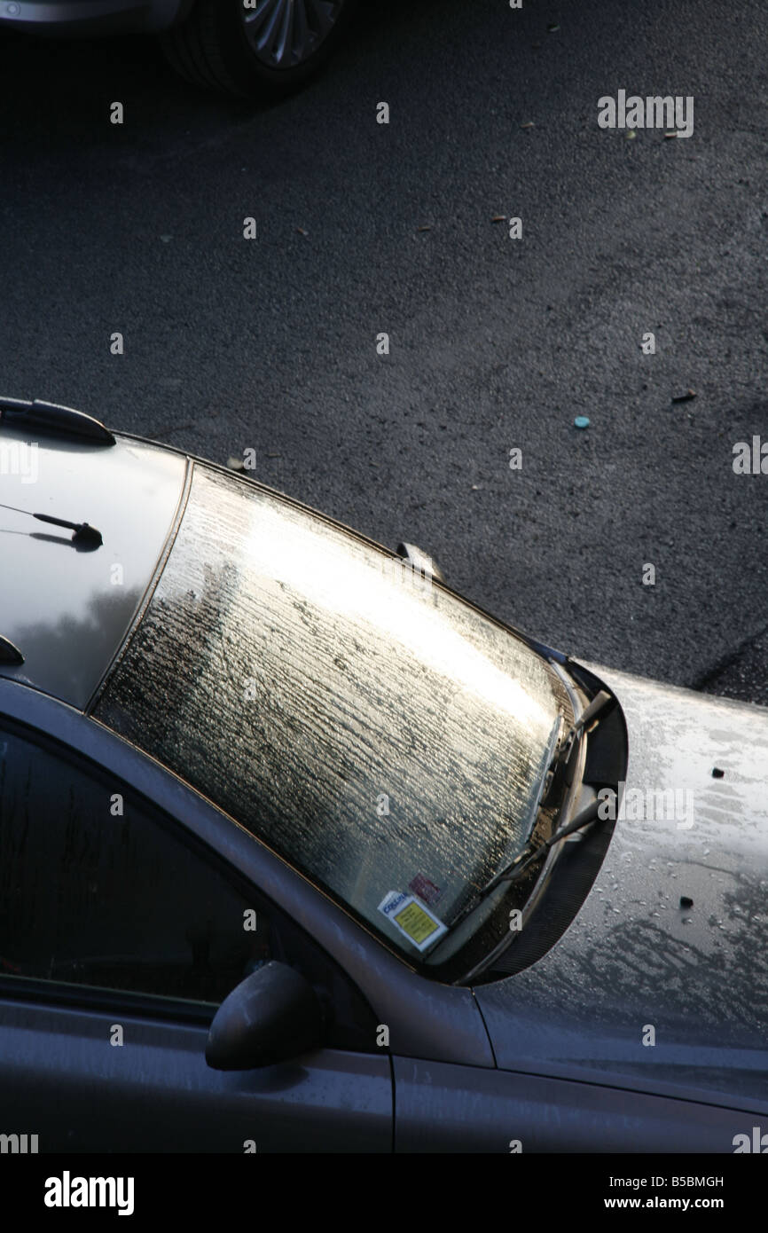 car window covered with dew in morning sun in street Stock Photo - Alamy