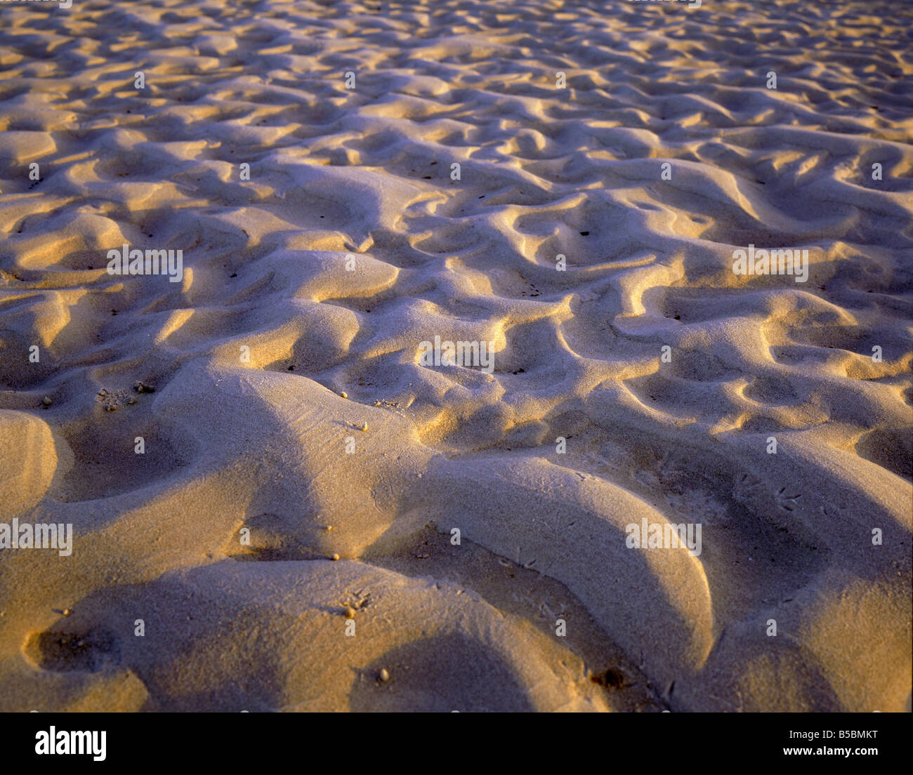 White sand on beach Patterns made by wave water action Depressions ...