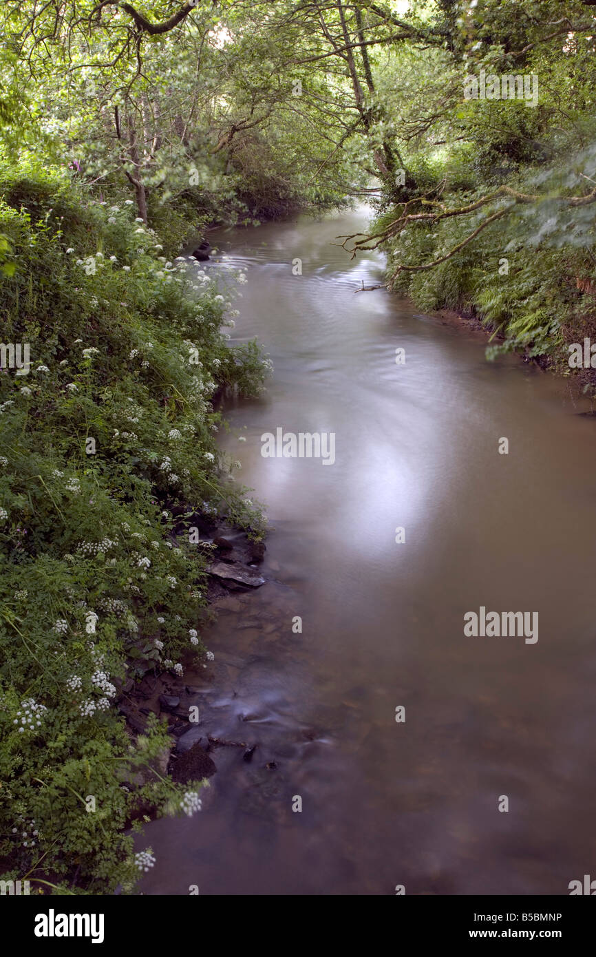river fal near golden mill cornwall Stock Photo - Alamy