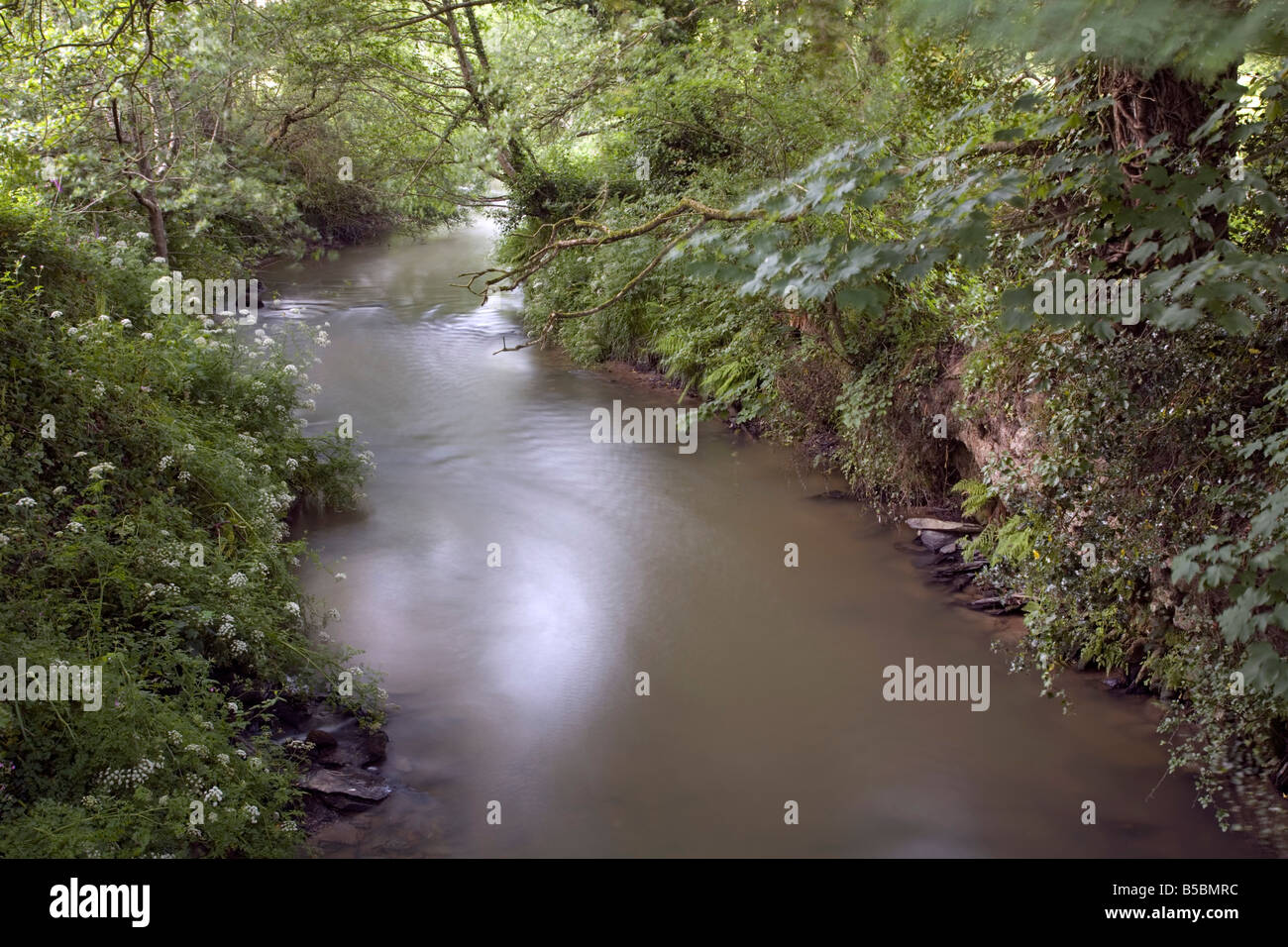 river fal near golden mill cornwall Stock Photo - Alamy