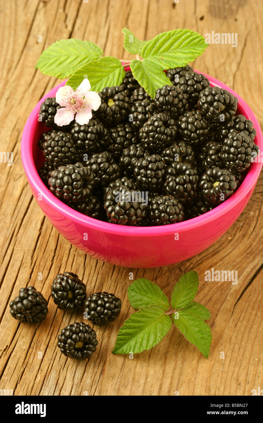Blackberries Rubus fruticosus Stock Photo - Alamy