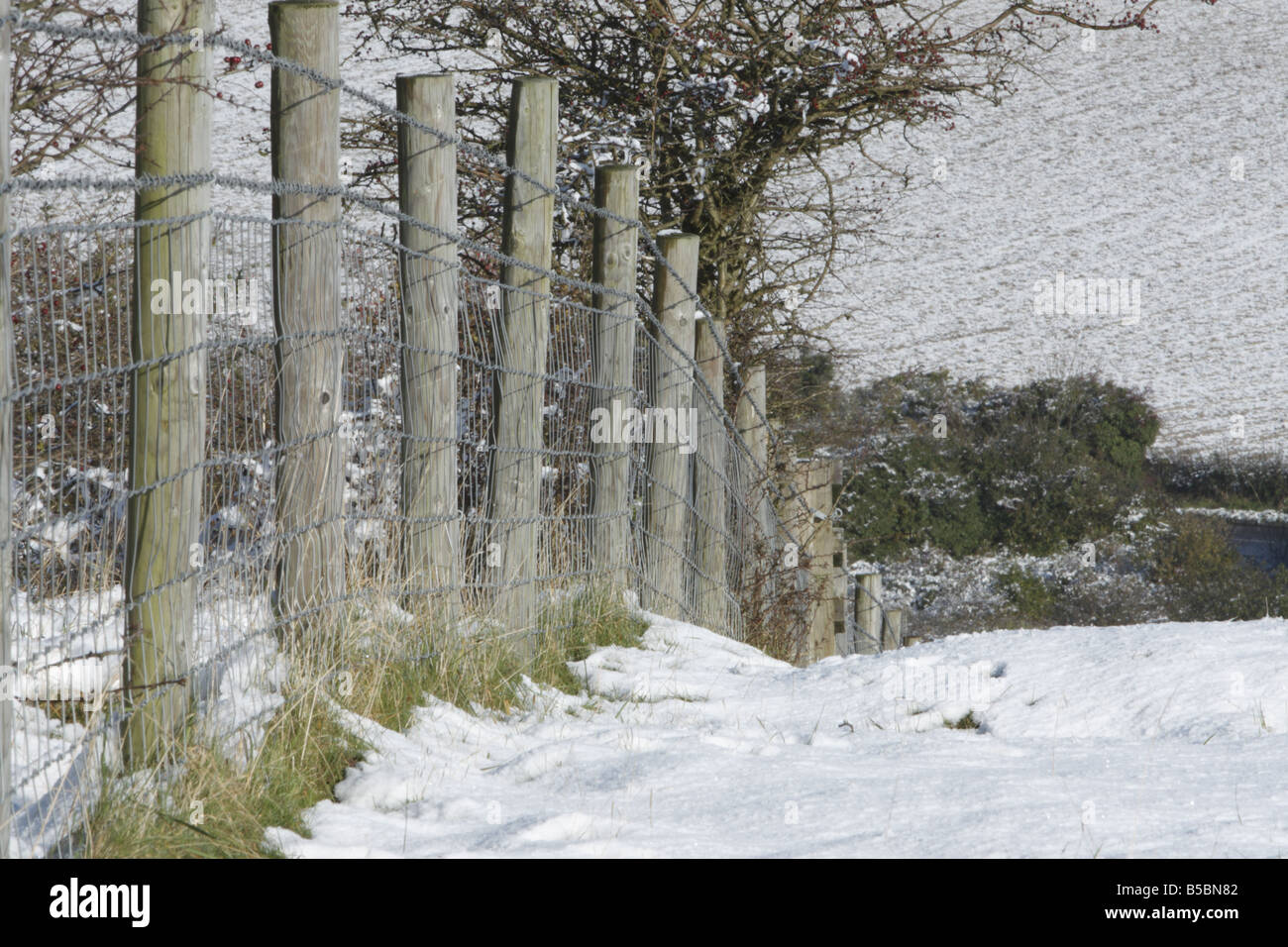Footpath alongside a fence in the snow Stock Photo - Alamy