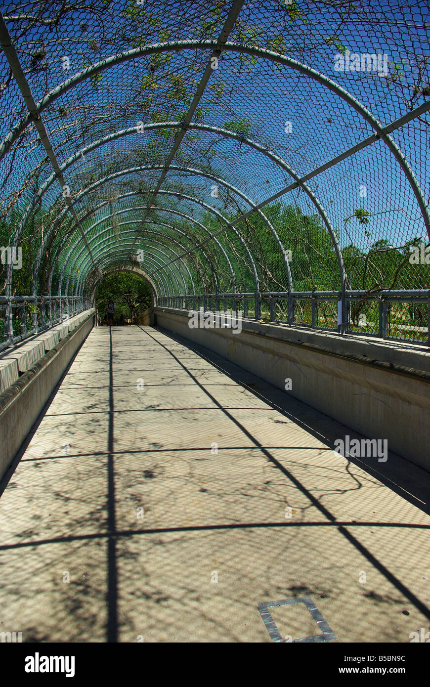 A caged-in walkway carries a sidewalk over the road in Sarasota ...
