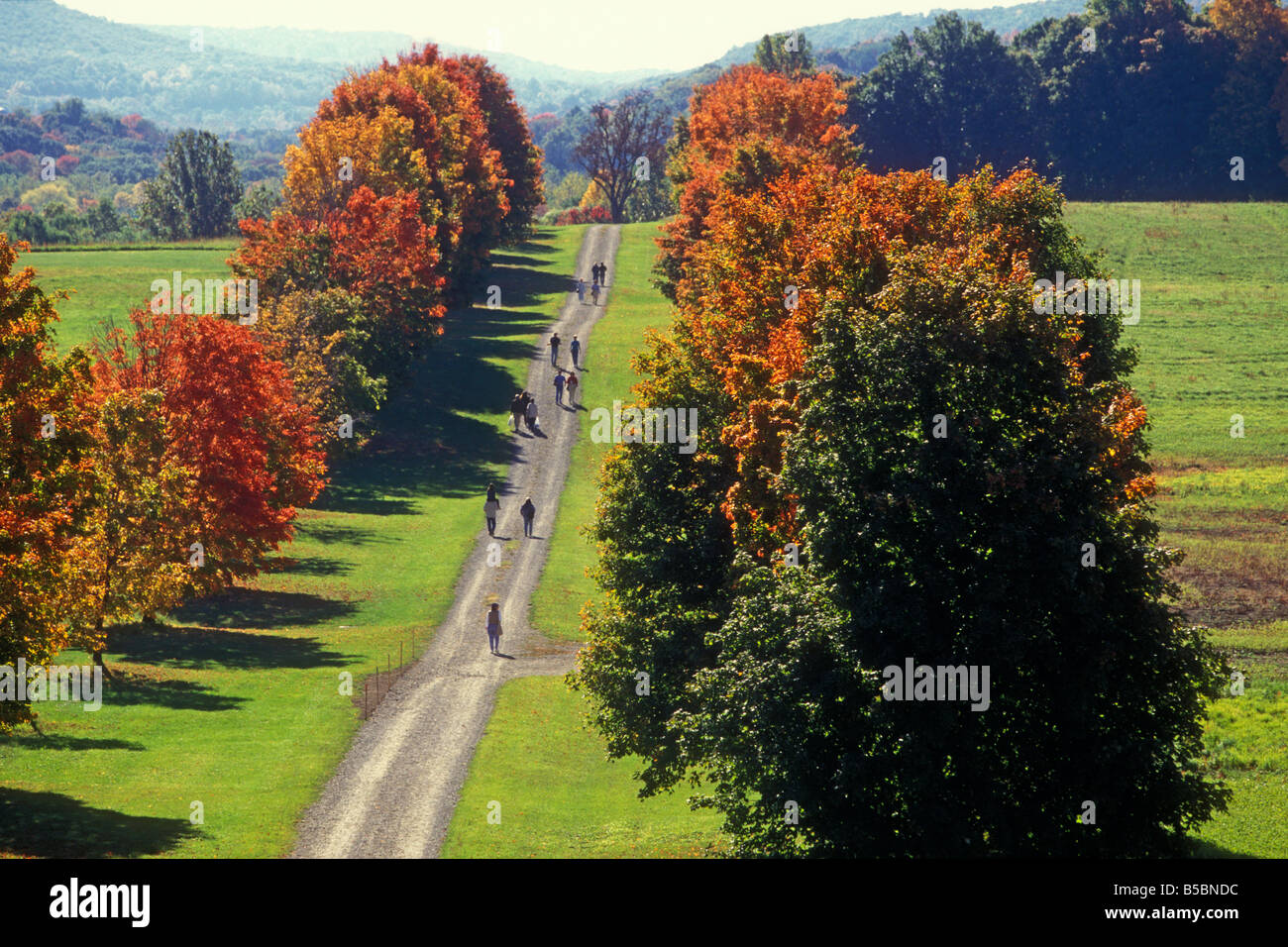Fall road with people Stock Photo - Alamy