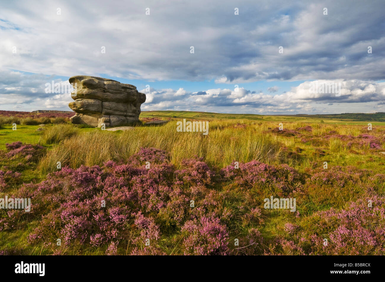 Eagle stone heather moorland Baslow Edge near Curbar Derbyshire Peak ...