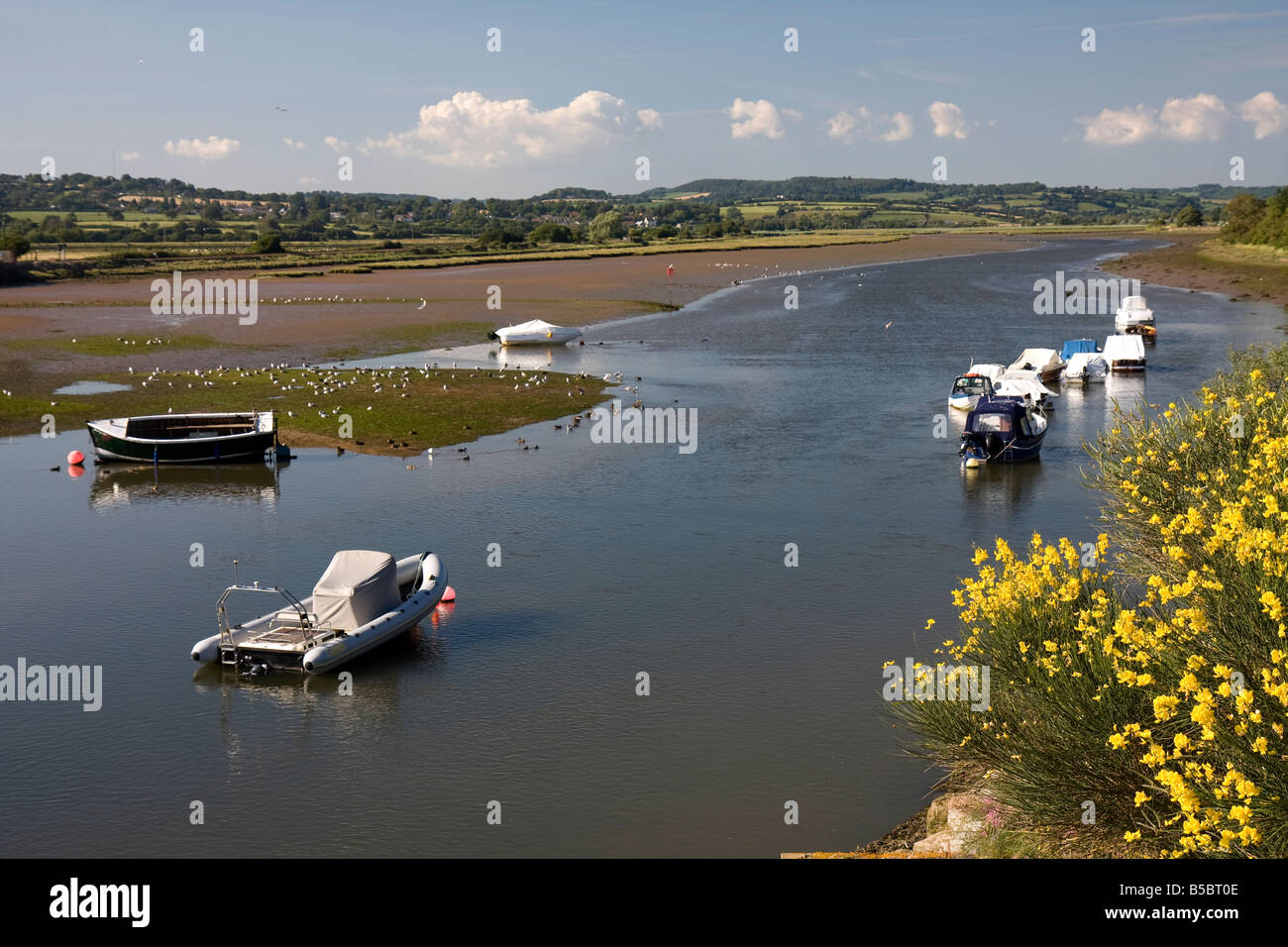 The Axe estuary, Axmouth, East Devon Stock Photo - Alamy