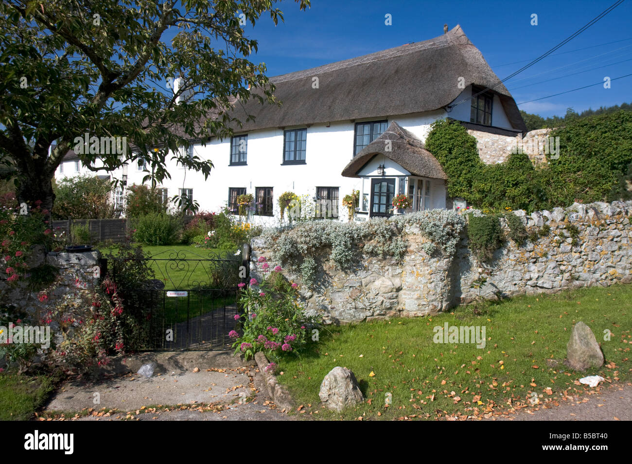 Shute devon hi-res stock photography and images - Alamy