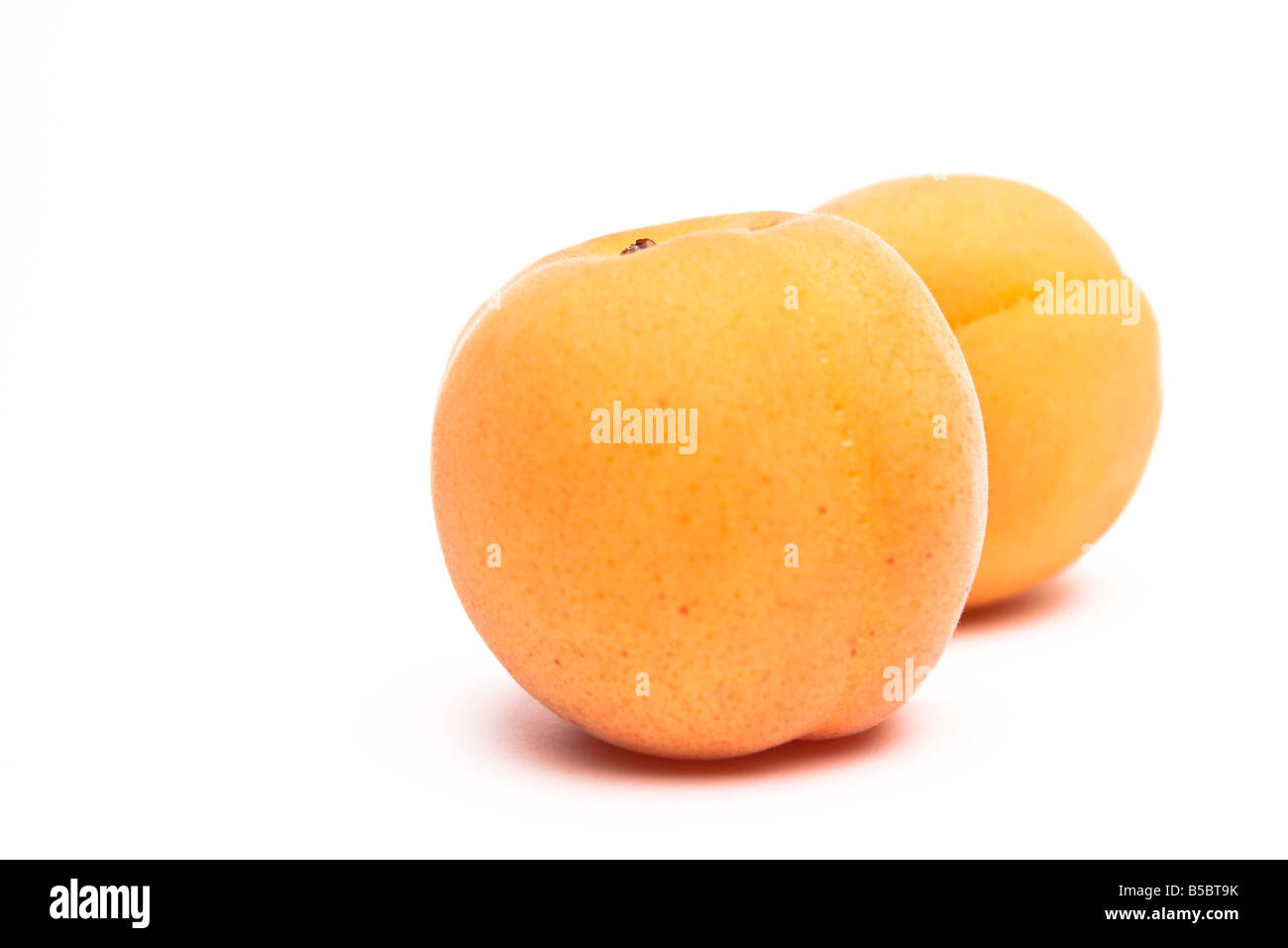 Two Apricots on white background Stock Photo - Alamy