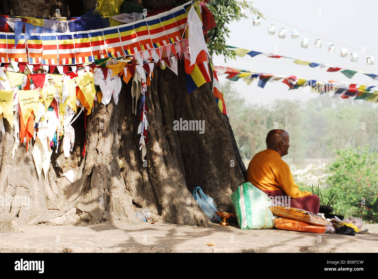 Monk at the tree of birth at Lumbini the birthplace of the Budha in ...