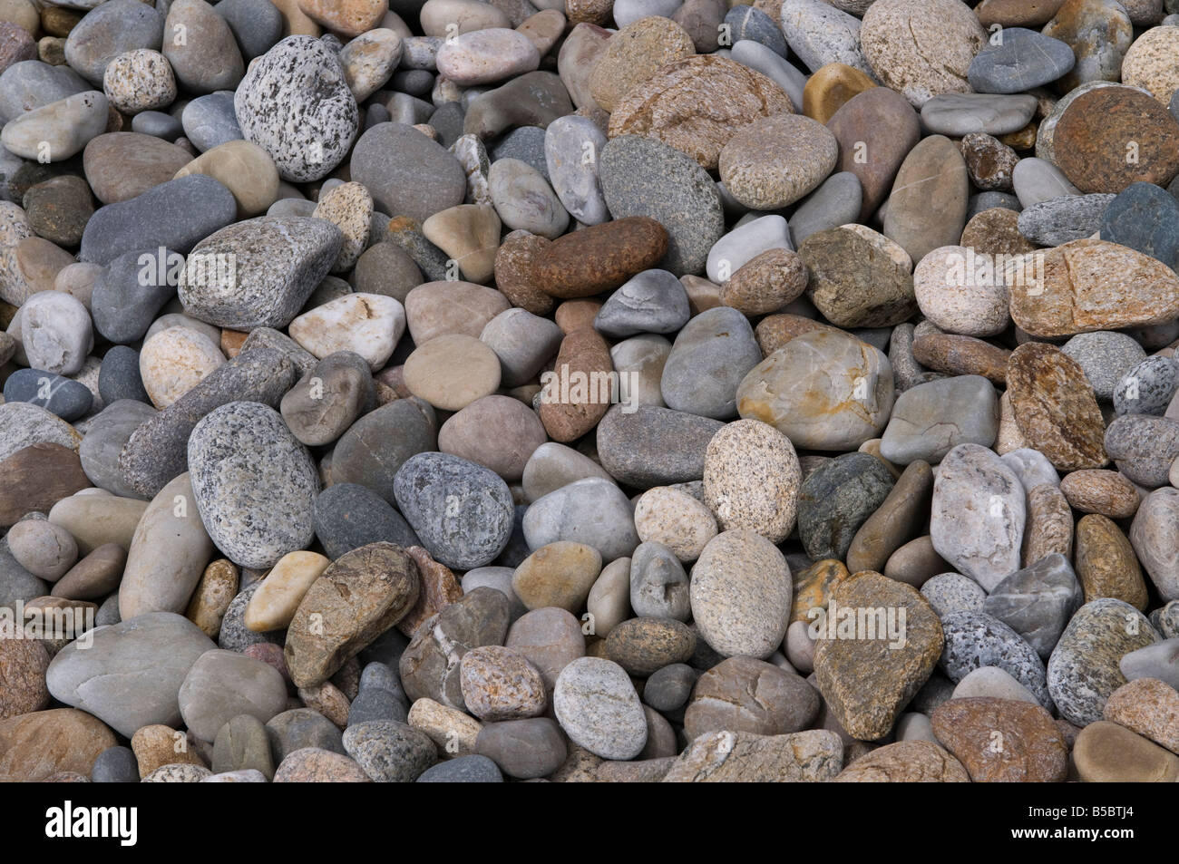 Pebbles on the beach at Baie des Trépassés , Brittany Stock Photo - Alamy