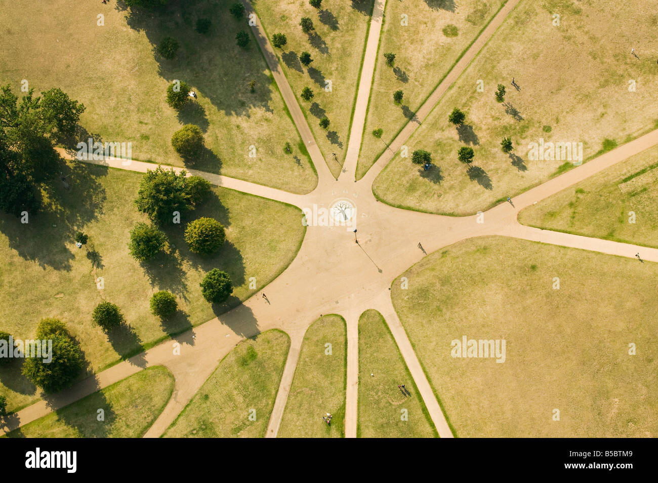 Aerial View of Park, Trees Stock Photo - Alamy