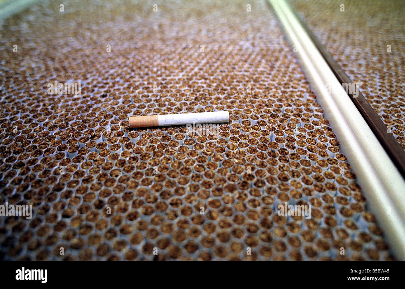 Cigarette production production line Stock Photo - Alamy