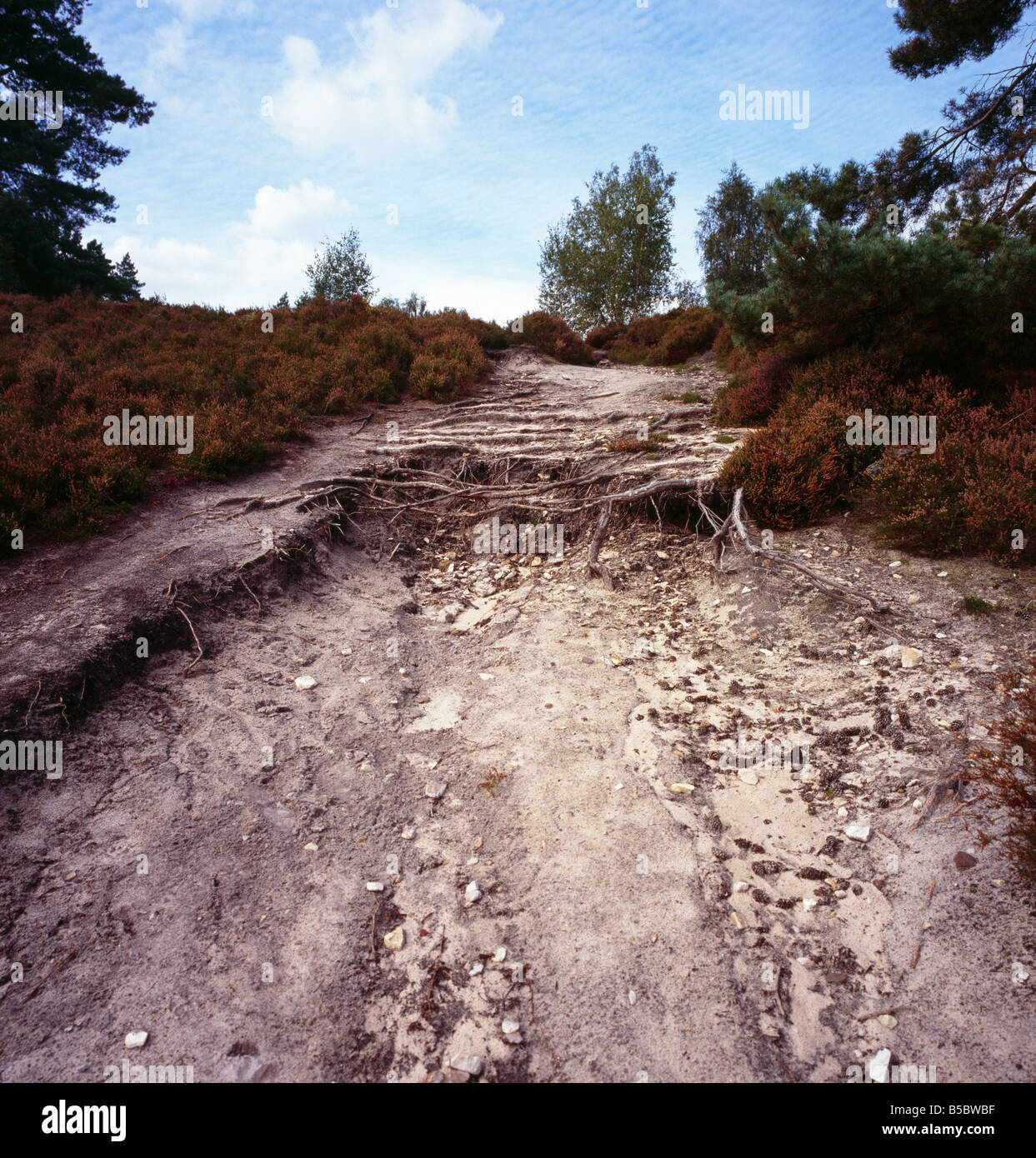Footpath erosion hi-res stock photography and images - Alamy