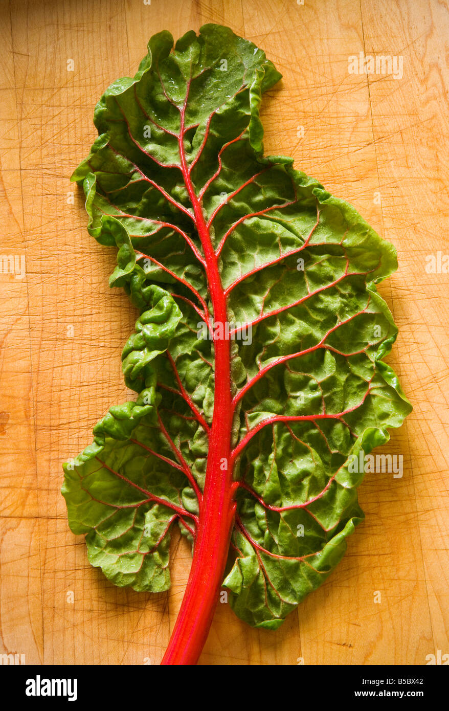 Studio still lifes of swiss chard on a cutting board Stock Photo - Alamy