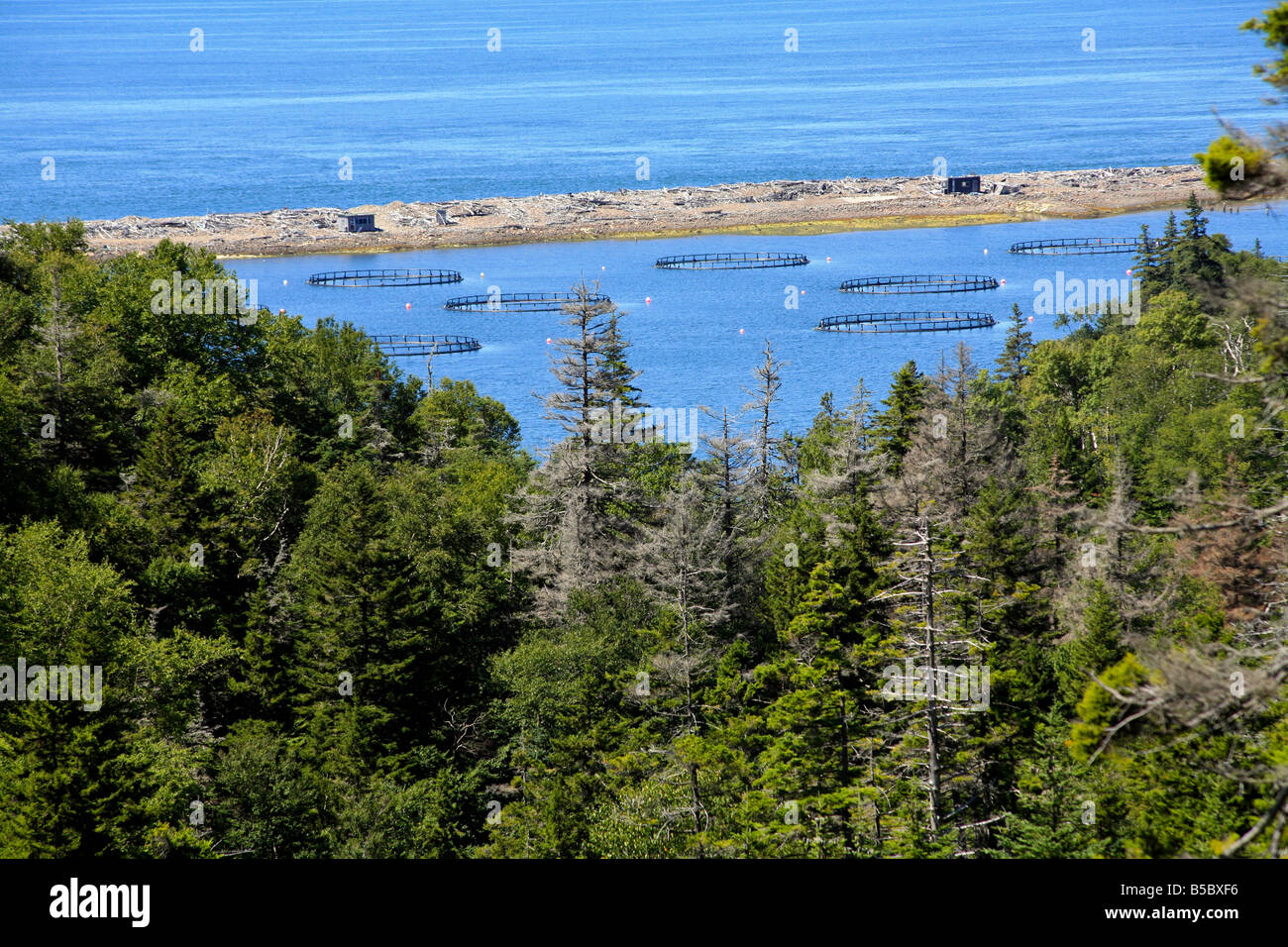 North head wharf grand manan island hi-res stock photography and images - Alamy
